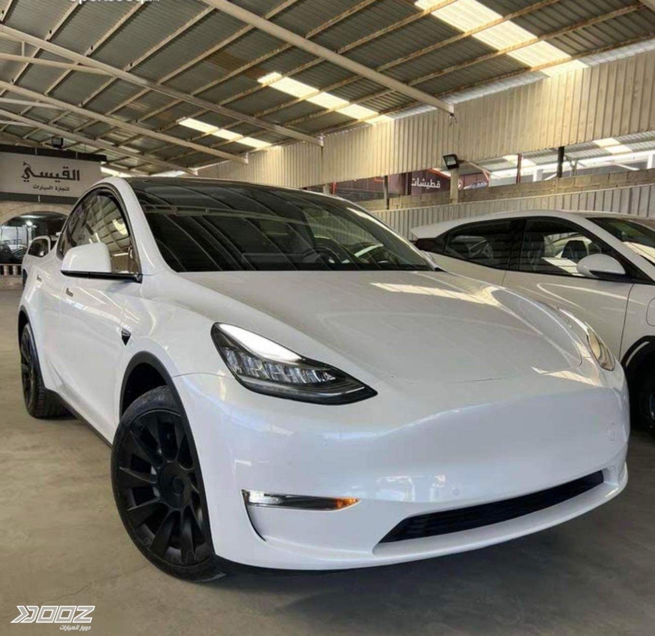 Tesla Model Y | 2022 | AI | 857446 | Dooz